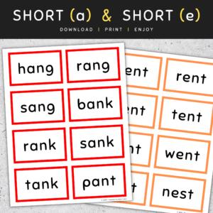 Flash Cards Bundle: CVC, CVCC, CCVC Words Flashcards, Short Vowels ...