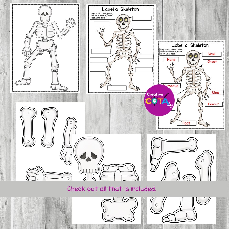 Fall Fine Motor Roll and Draw Activities - Made By Teachers