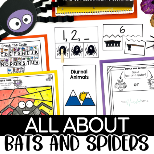All About Bats and Spiders Unit - Made By Teachers