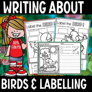 writing about birds and labeling | Made By Teachers