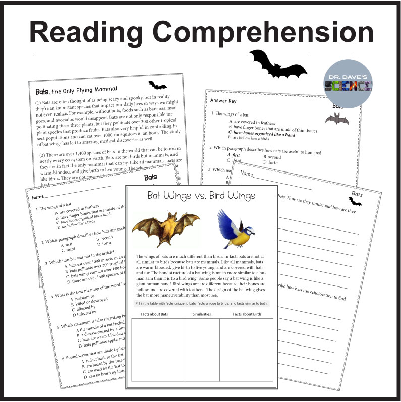 Bat Bundle Resources for Halloween Science and the Science of Bats ...