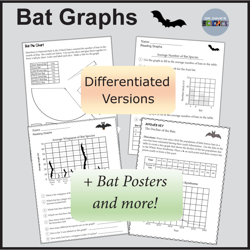 Bat Bundle Resources for Halloween Science and the Science of Bats ...