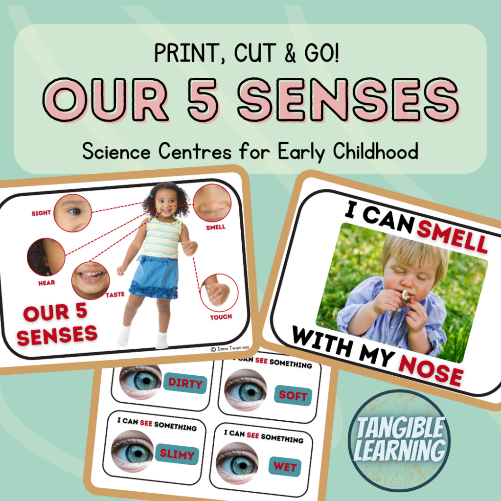 Early Years 5 Senses Low Preparation Science Centres | Made By Teachers