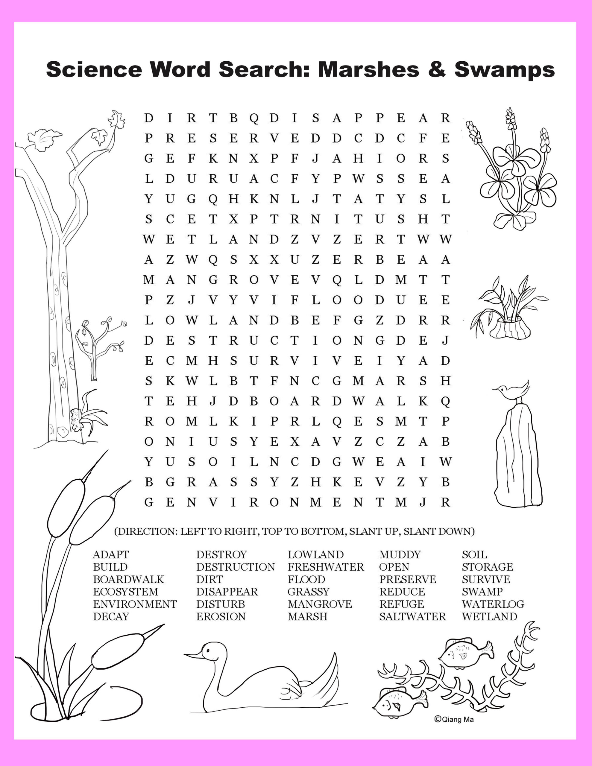Science Word Search: Marshes and Swamps | Made By Teachers