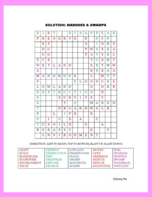 Science Word Search: Marshes and Swamps | Made By Teachers