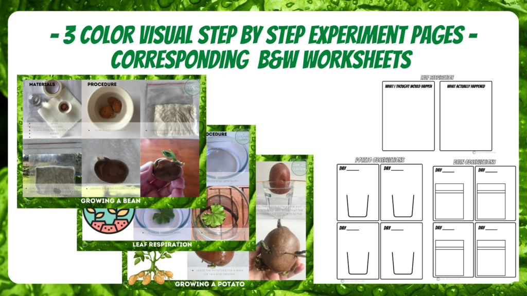 Small Science 10 Unit Bundle - Made By Teachers