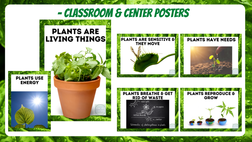 Small Science 10 Unit Bundle - Made By Teachers