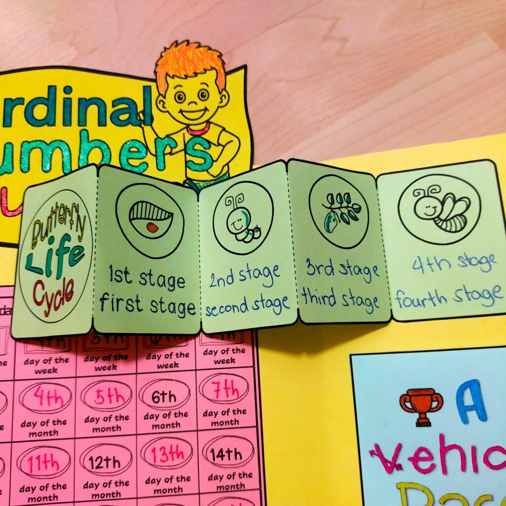 Ordinal Numbers Interactive Lapbook | Made By Teachers