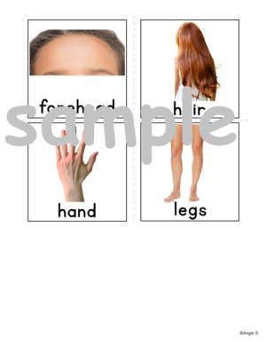 Body Parts Picture Cards - Made By Teachers