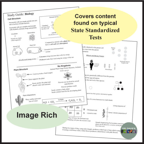 Life Science Test Prep Study Guide Biology - Made By Teachers