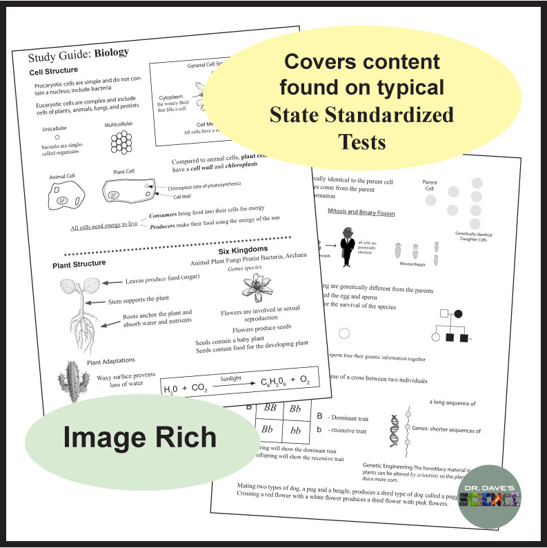 Life Science Test Prep Study Guide Biology | Made By Teachers