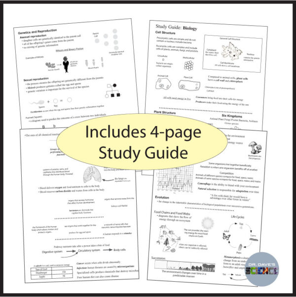 Life Science Test Prep and Biology Exam Study Guide Bundle - Made By ...