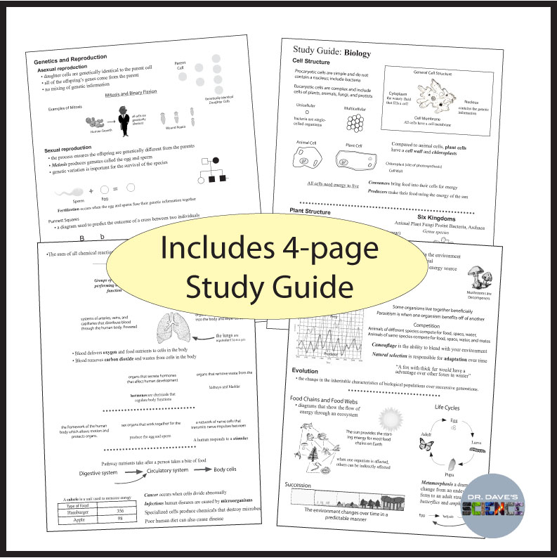 Life Science Test Prep and Biology Exam Study Guide Bundle | Made By ...