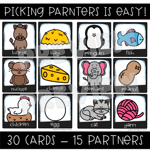 Student Pairing Cards | Student Grouping Cards | Partner Match Up ...