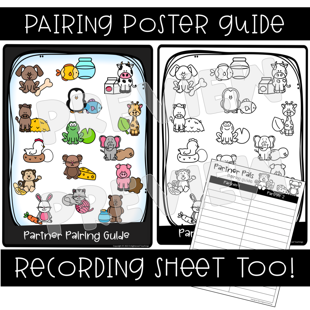 Student Pairing Cards | Student Grouping Cards | Partner Match Up ...