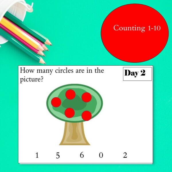Pre K Math Morning | Worksheets | Made By Teachers