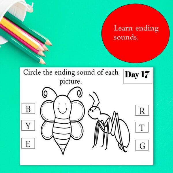 Pre K Math Morning | Worksheets | Made By Teachers