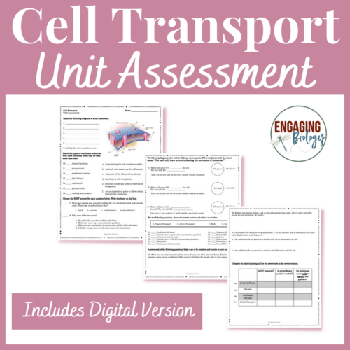 Cell Transport Unit Assessment - Made By Teachers