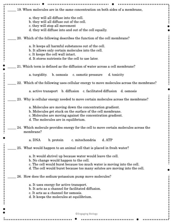 Cell Transport Unit Assessment - Made By Teachers