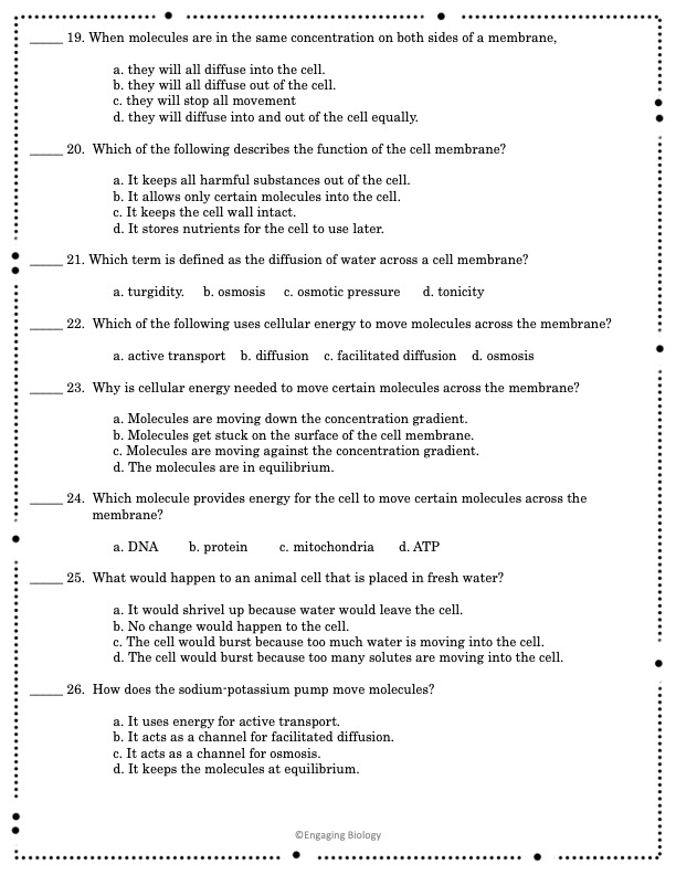 Cell Transport Unit Assessment - Made By Teachers