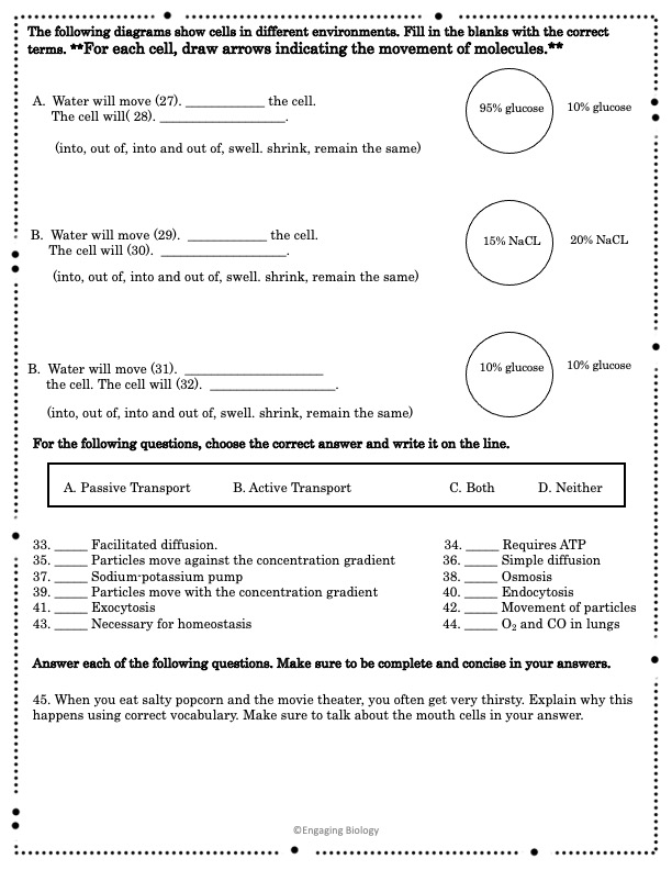 Cell Transport Unit Assessment - Made By Teachers