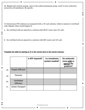 Cell Transport Unit Assessment - Made By Teachers