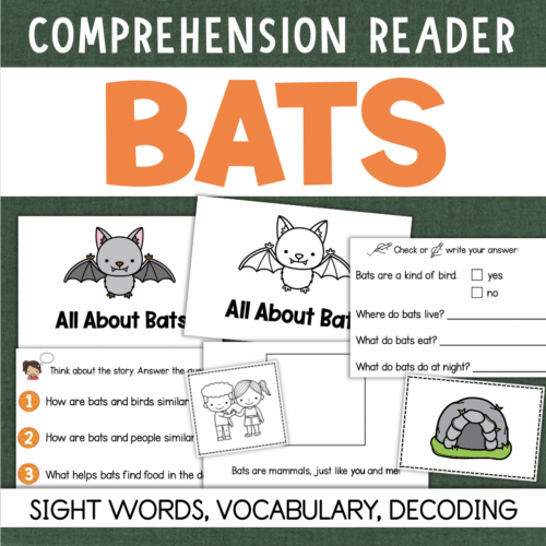 BATS Decodable Readers Comprehension Sight Words - Made By Teachers