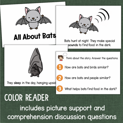 BATS Decodable Readers Comprehension Sight Words | Made By Teachers