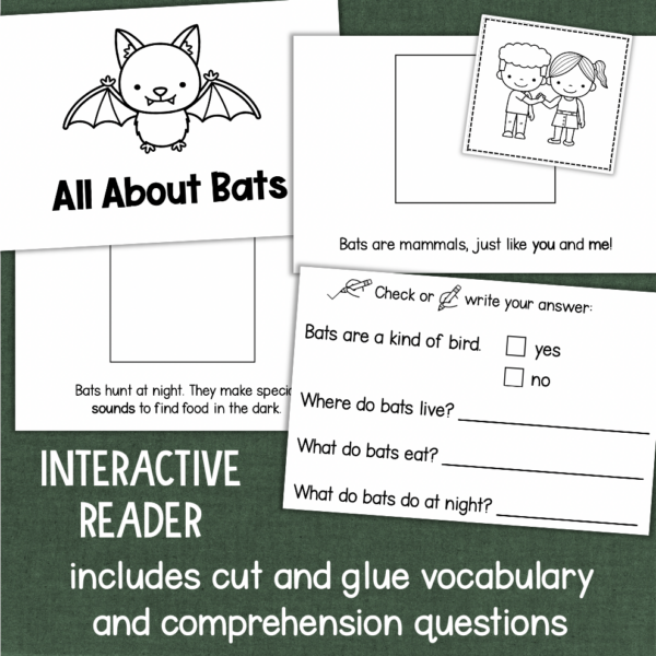 BATS Decodable Readers Comprehension Sight Words - Made By Teachers