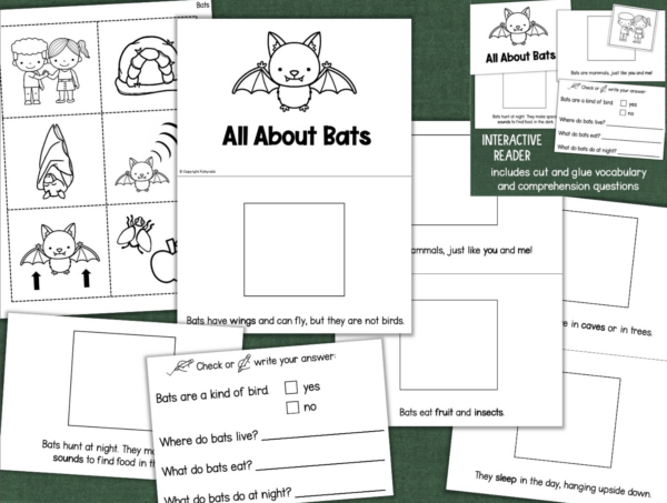 BATS Decodable Readers Comprehension Sight Words | Made By Teachers