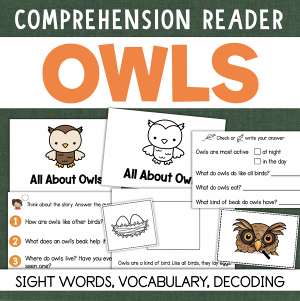 OWLS Decodable Readers Comprehension Sight Words - Made By Teachers
