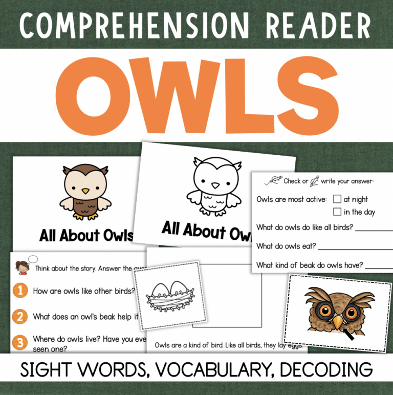 OWLS Decodable Readers Comprehension Sight Words | Made By Teachers