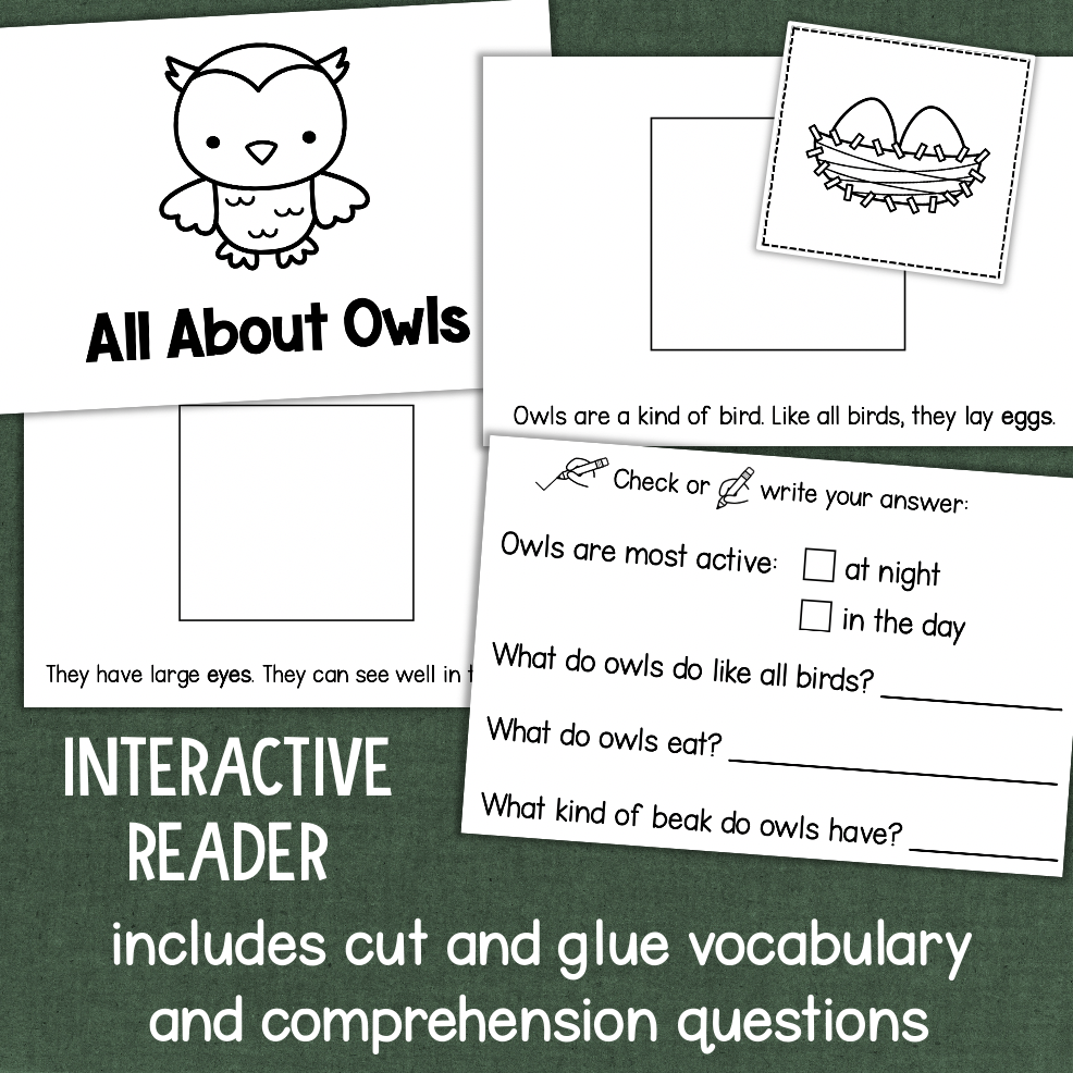 OWLS Decodable Readers Comprehension Sight Words | Made By Teachers