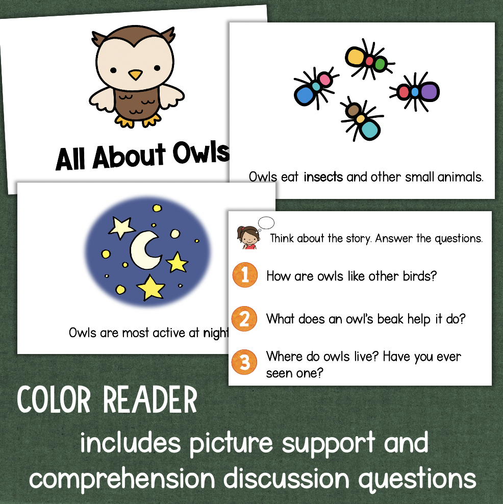 OWLS Decodable Readers Comprehension Sight Words - Made By Teachers