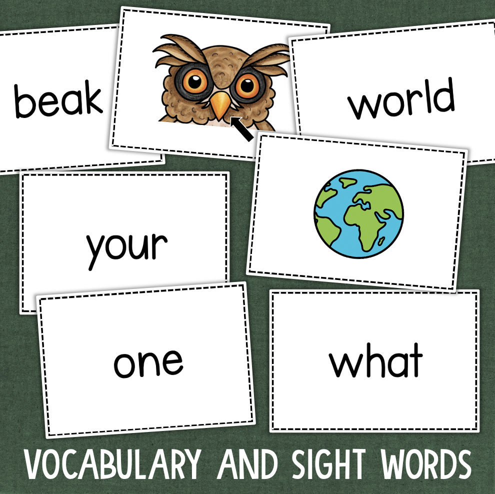 OWLS Decodable Readers Comprehension Sight Words - Made By Teachers