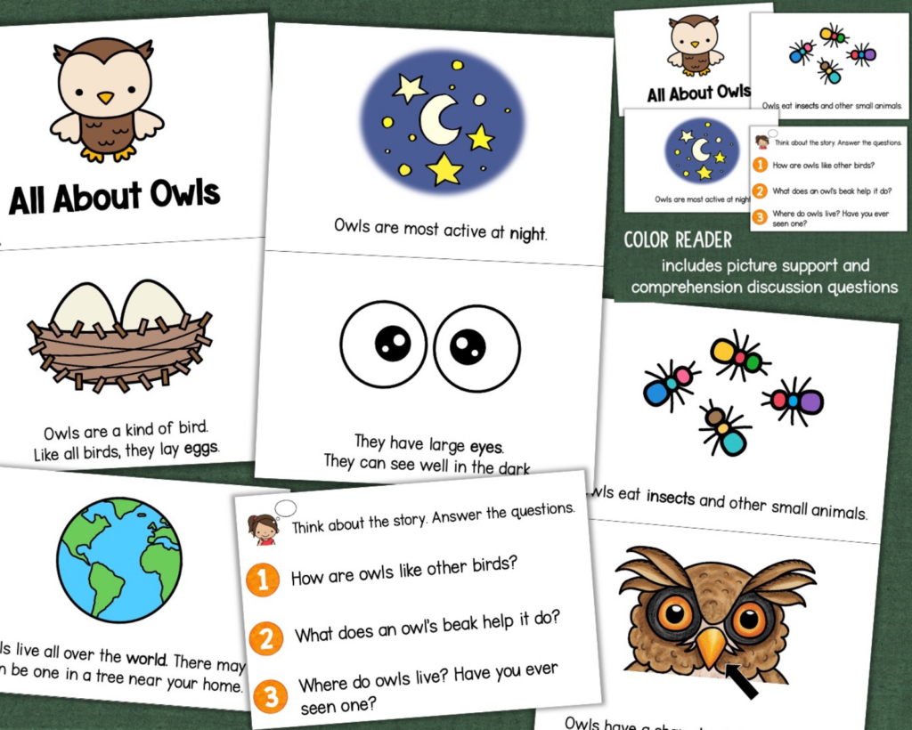 OWLS Decodable Readers Comprehension Sight Words | Made By Teachers