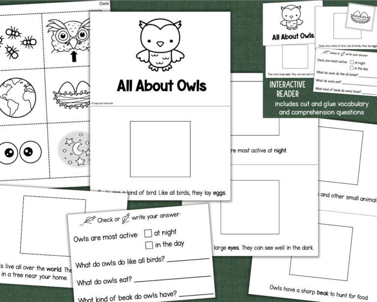 OWLS Decodable Readers Comprehension Sight Words - Made By Teachers
