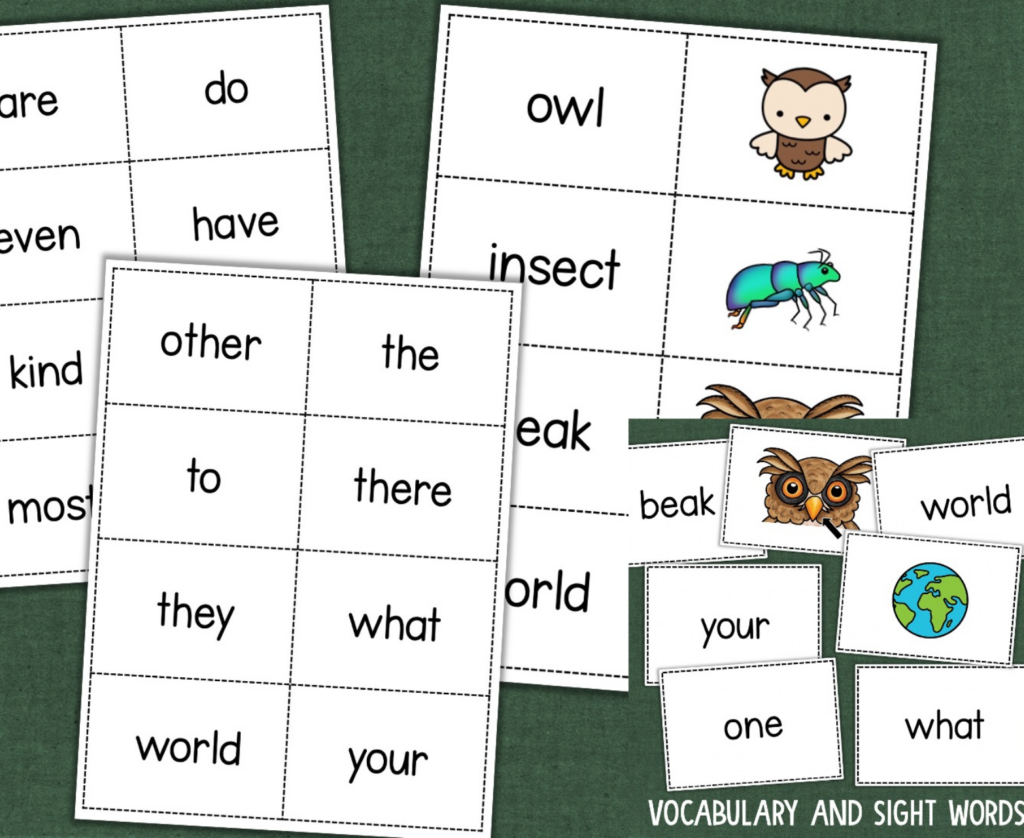 OWLS Decodable Readers Comprehension Sight Words | Made By Teachers