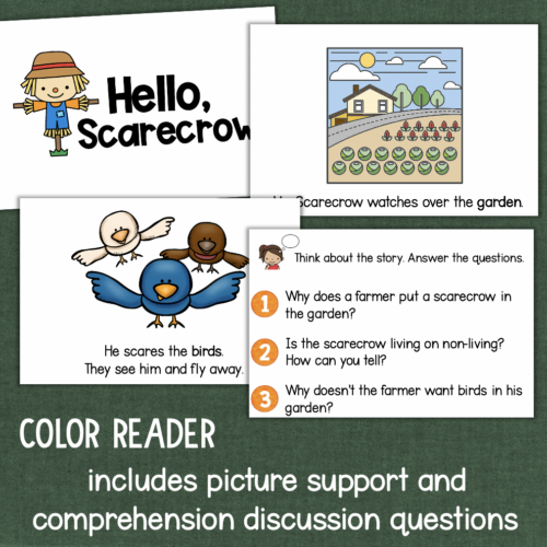 SCARECROW Decodable Readers Comprehension Sight Words | Made By Teachers