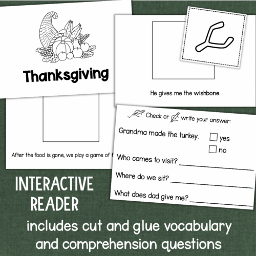 THANKSGIVING Decodable Readers Comprehension Sight Words | Made By Teachers