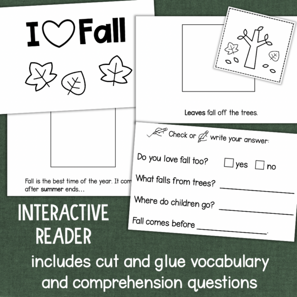 FALL Autumn Decodable Readers Comprehension Sight Words - Made By Teachers