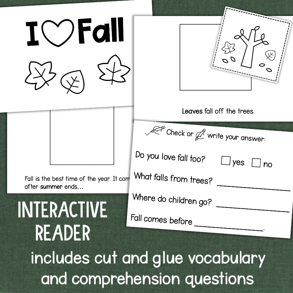 FALL Autumn Decodable Readers Comprehension Sight Words | Made By Teachers