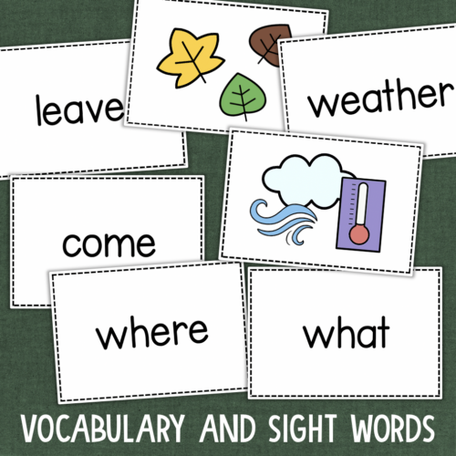 FALL Autumn Decodable Readers Comprehension Sight Words | Made By Teachers