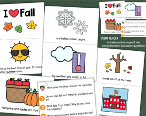 FALL Autumn Decodable Readers Comprehension Sight Words | Made By Teachers