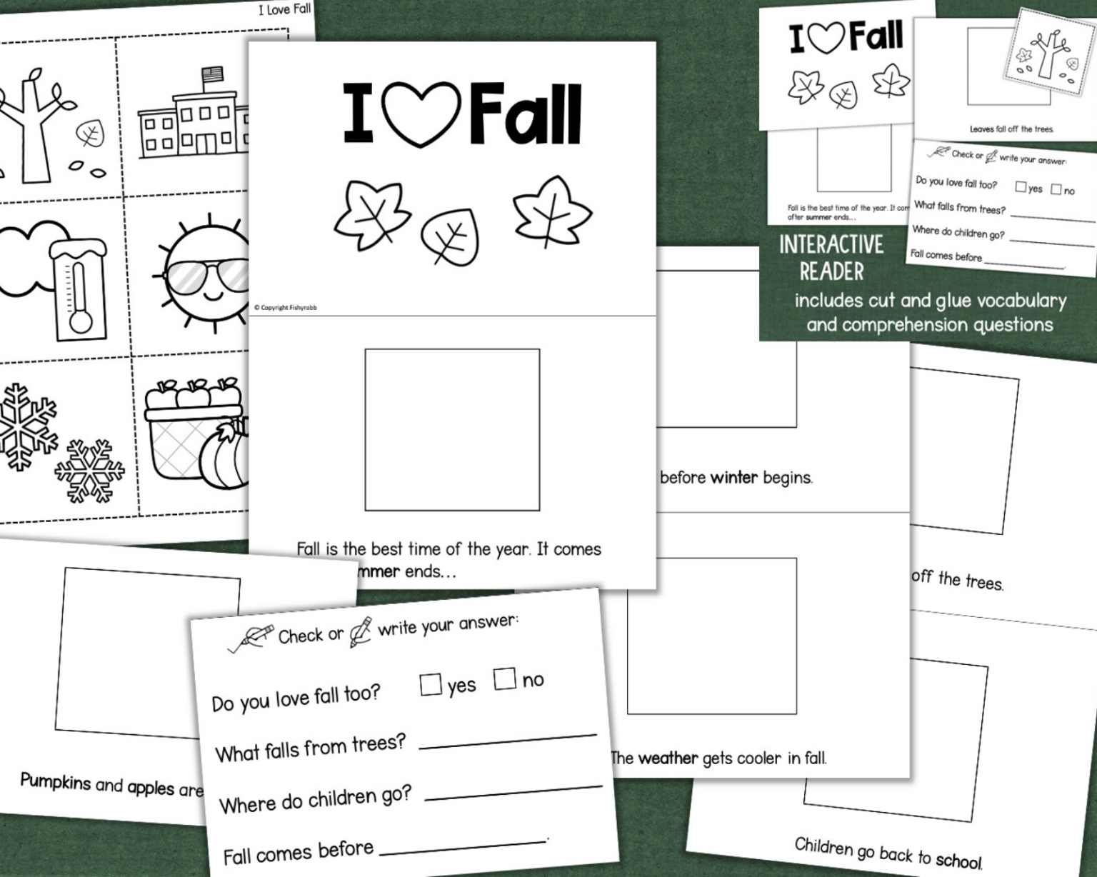 FALL Autumn Decodable Readers Comprehension Sight Words | Made By Teachers