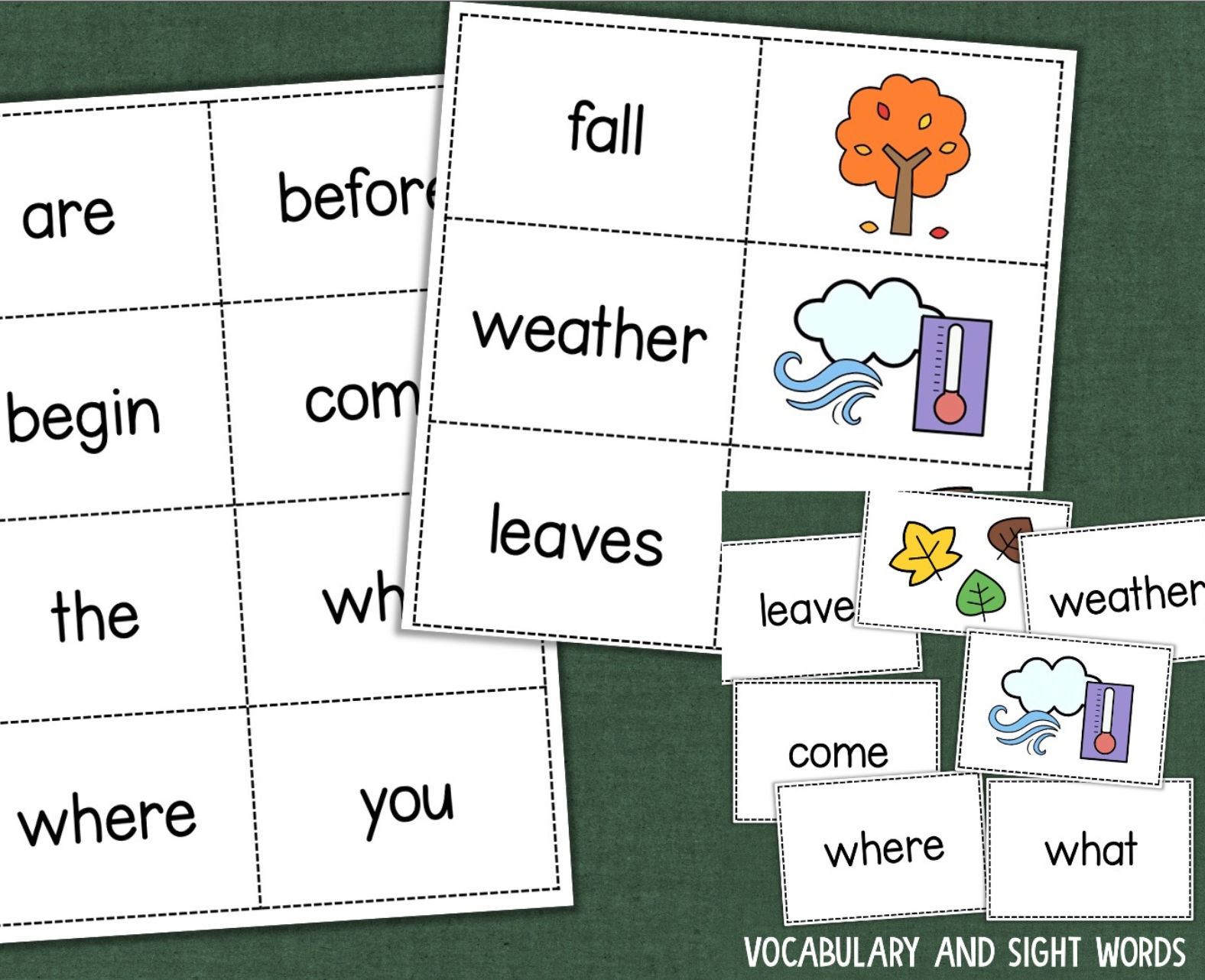 FALL Autumn Decodable Readers Comprehension Sight Words | Made By Teachers