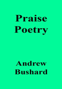 Praise Poetry - Made By Teachers