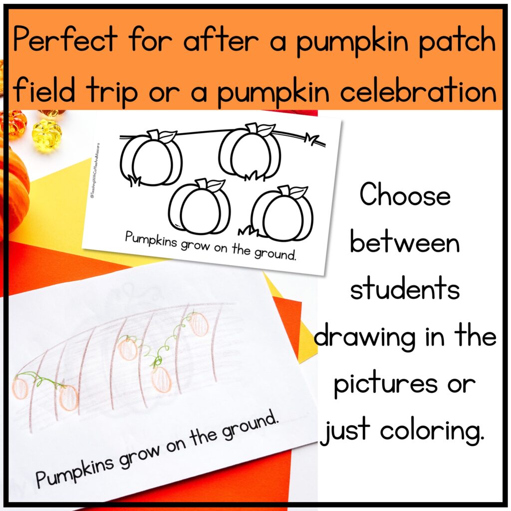 Pumpkin Investigation Activity - Made By Teachers