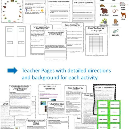Ecosystems | Made By Teachers