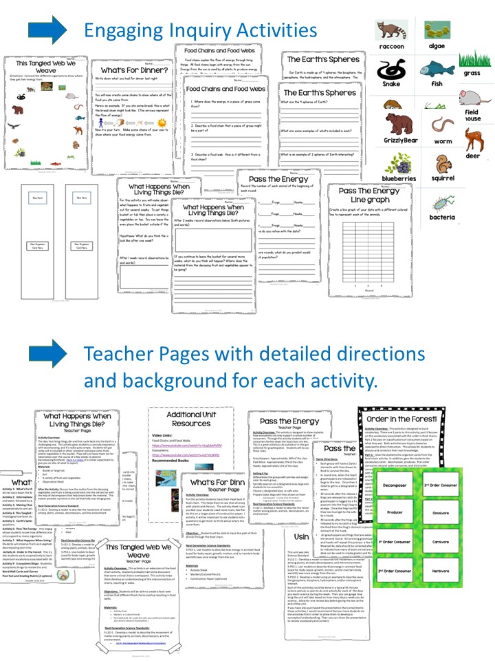 Ecosystems - Made By Teachers